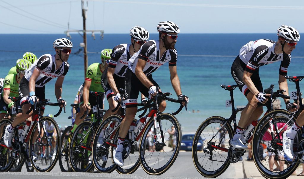 【ロードバイク】大活躍中「Team Sunweb」カラーのTCR入荷！ ｜ ジャイアントストア前橋