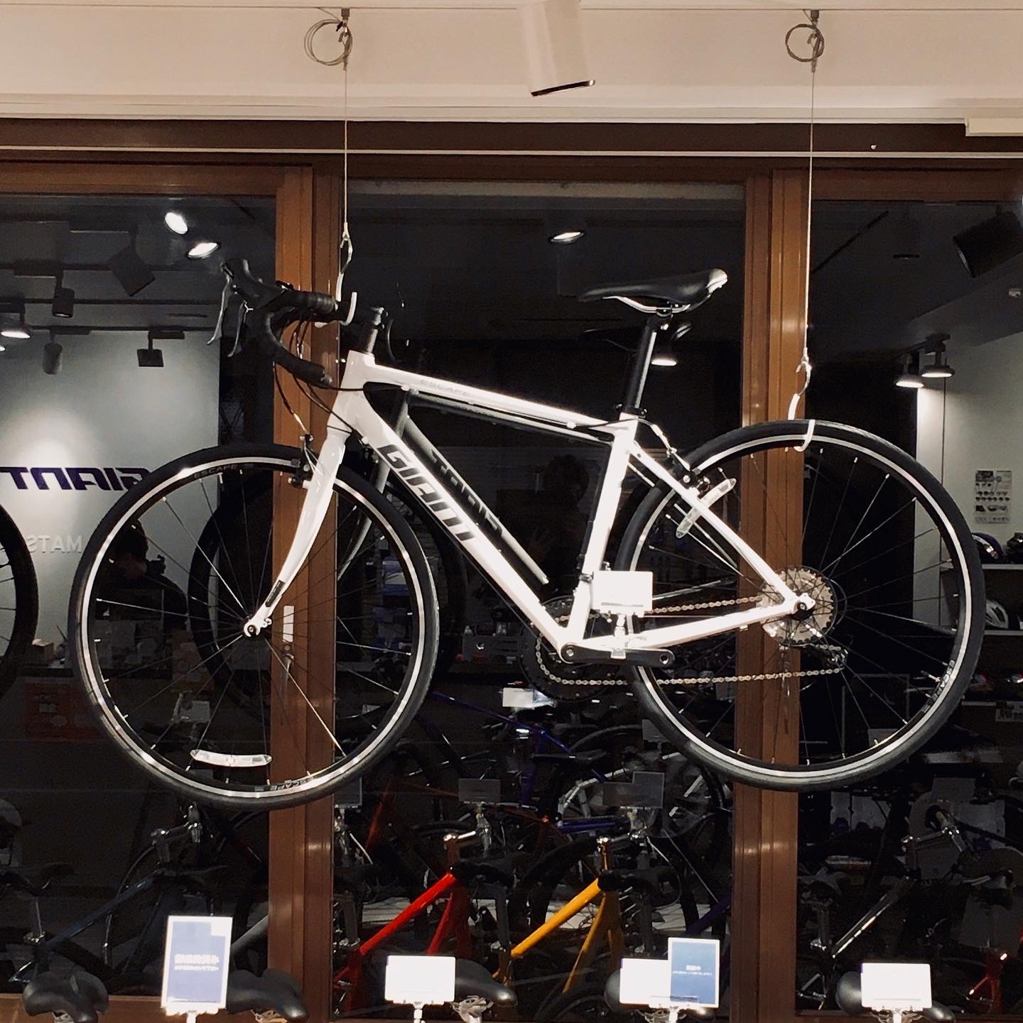 車体紹介 ESCAPE R DROP ｜ ジャイアントストア松山