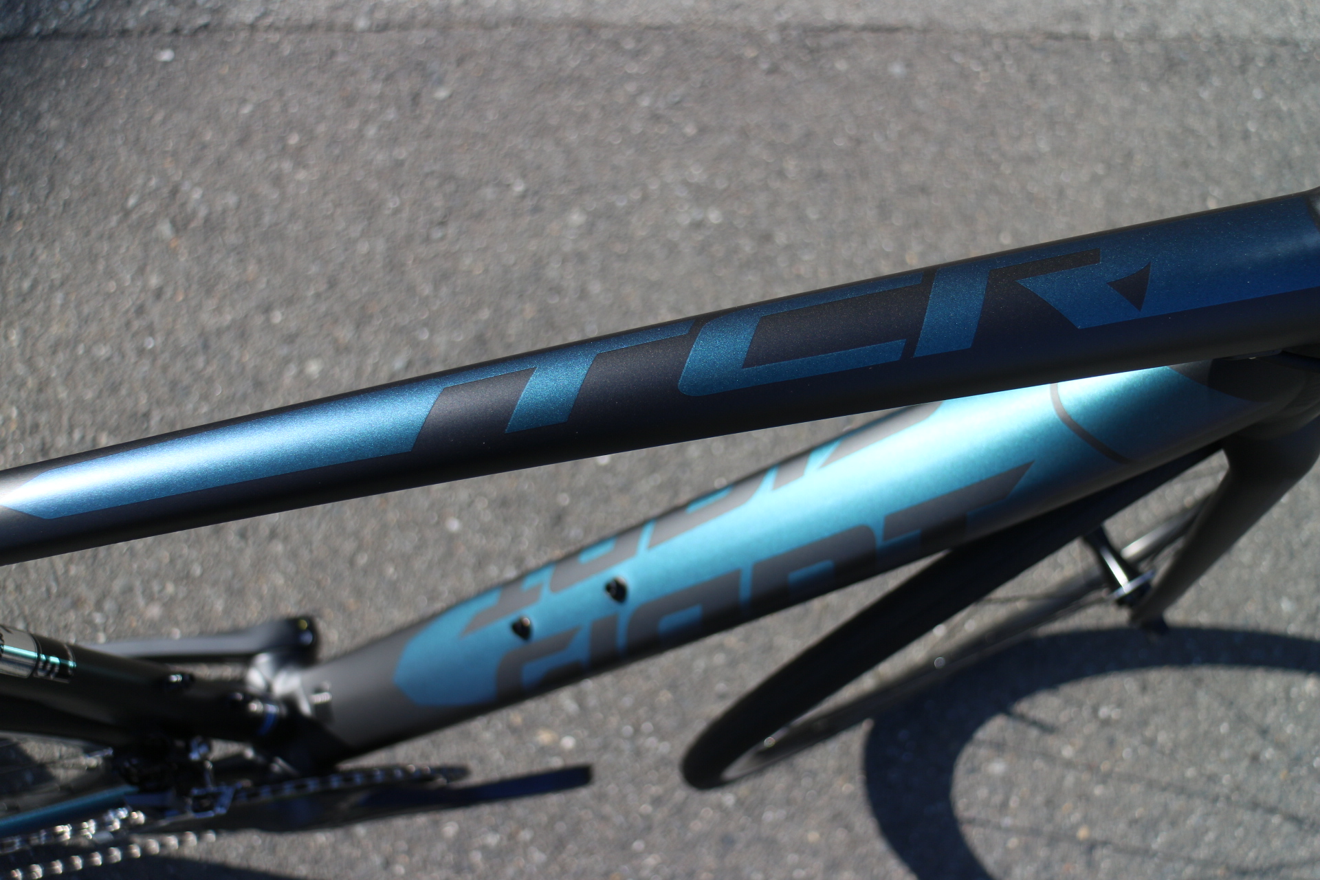 「GIANT」アルミ独特の魅力満載『TCR SLR』『 TCR SL』 ｜ ジャイアントストア大阪