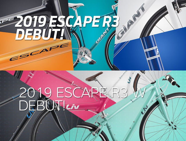 2019年モデル ESCAPE R3、R3Wのご紹介 ｜ ジャイアントストア堺